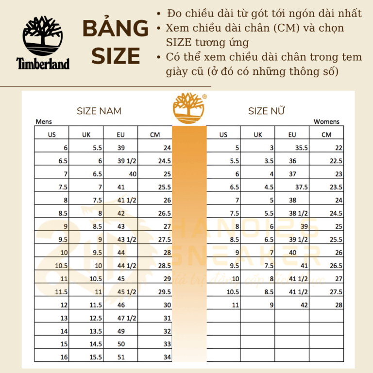Tổng Hợp Bảng Size Của Các Thương Hiệu Giày Nổi Tiếng Mới Nhất Cách Chọn Size Giày Phù Hợp ⚡